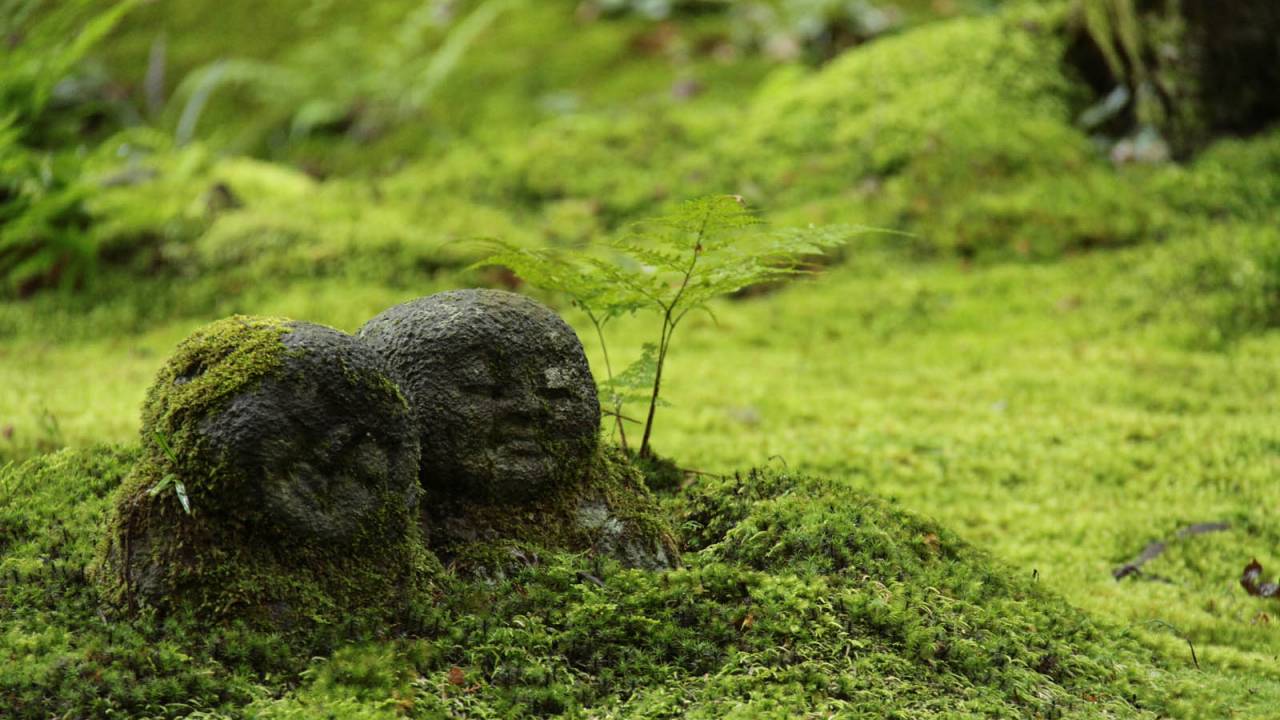 japaaan_01_gizou_photo1 | - Japaaan