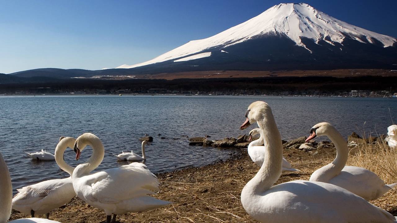 fuji_033 | - Japaaan