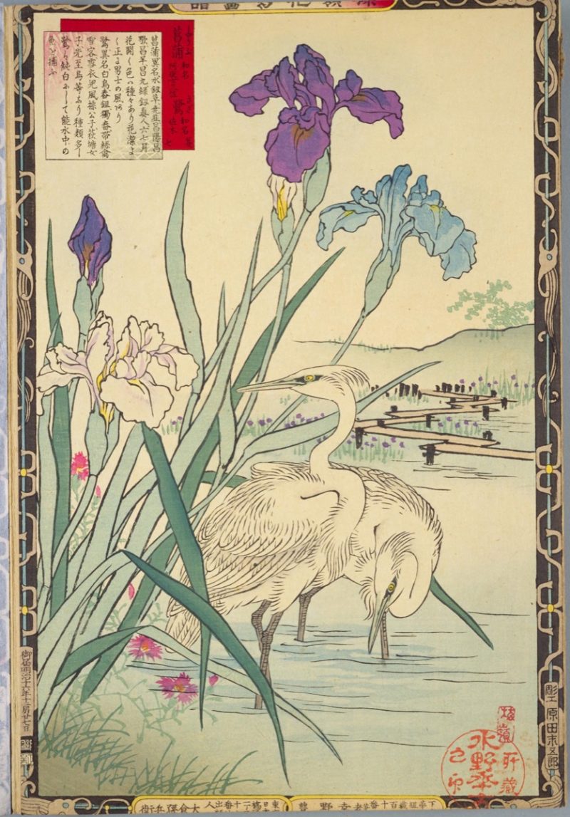 幸野楳嶺 楳嶺花鳥画譜 Japaaan